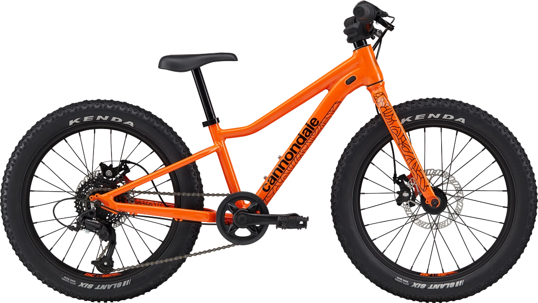 Cannondale kids bike store